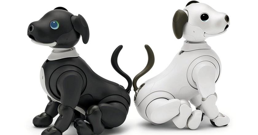 RoboPass Sony Aibo kończy 25 lat - przypominamy, jak to było | Gagadget.pl